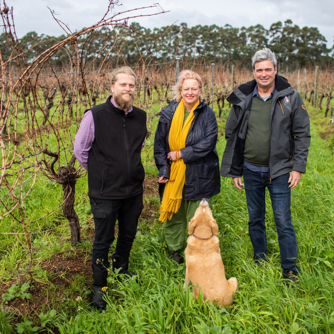 Wine Growing – Cullen Wines